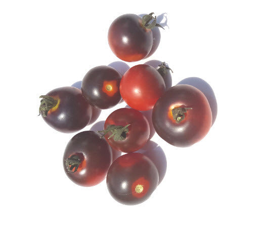 blue tomato ch