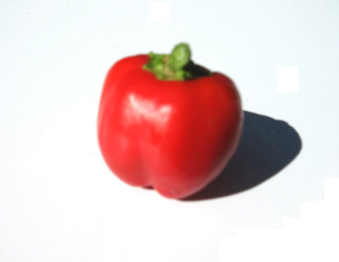 Mini Red Bell Pepper – Glen Seeds