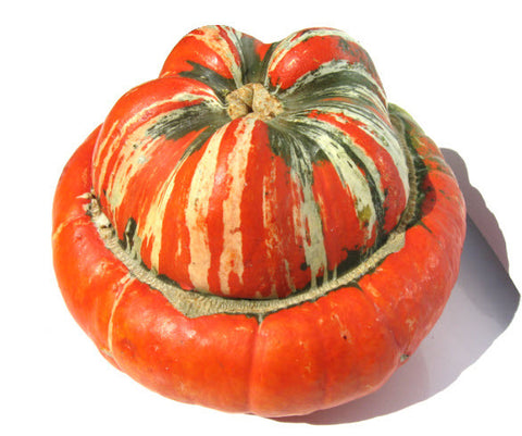 Turk's Turban Pumpkin – Glen Seeds