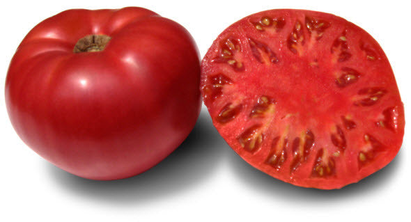 Beefsteak Red Tomato – Glen Seeds
