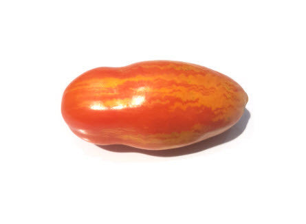 Cassidy's Folly Tomato – Glen Seeds